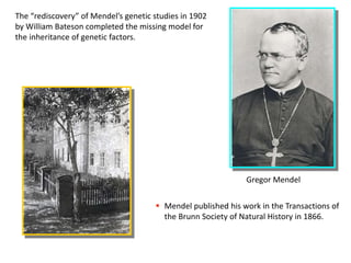 Hardy Weingberg Law II.pptx