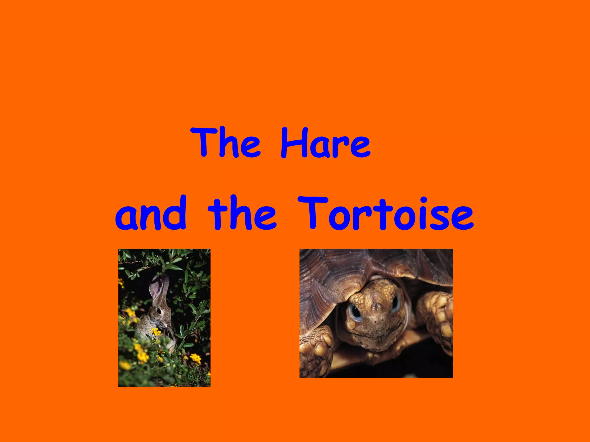 Hare and the tortoise | PPT