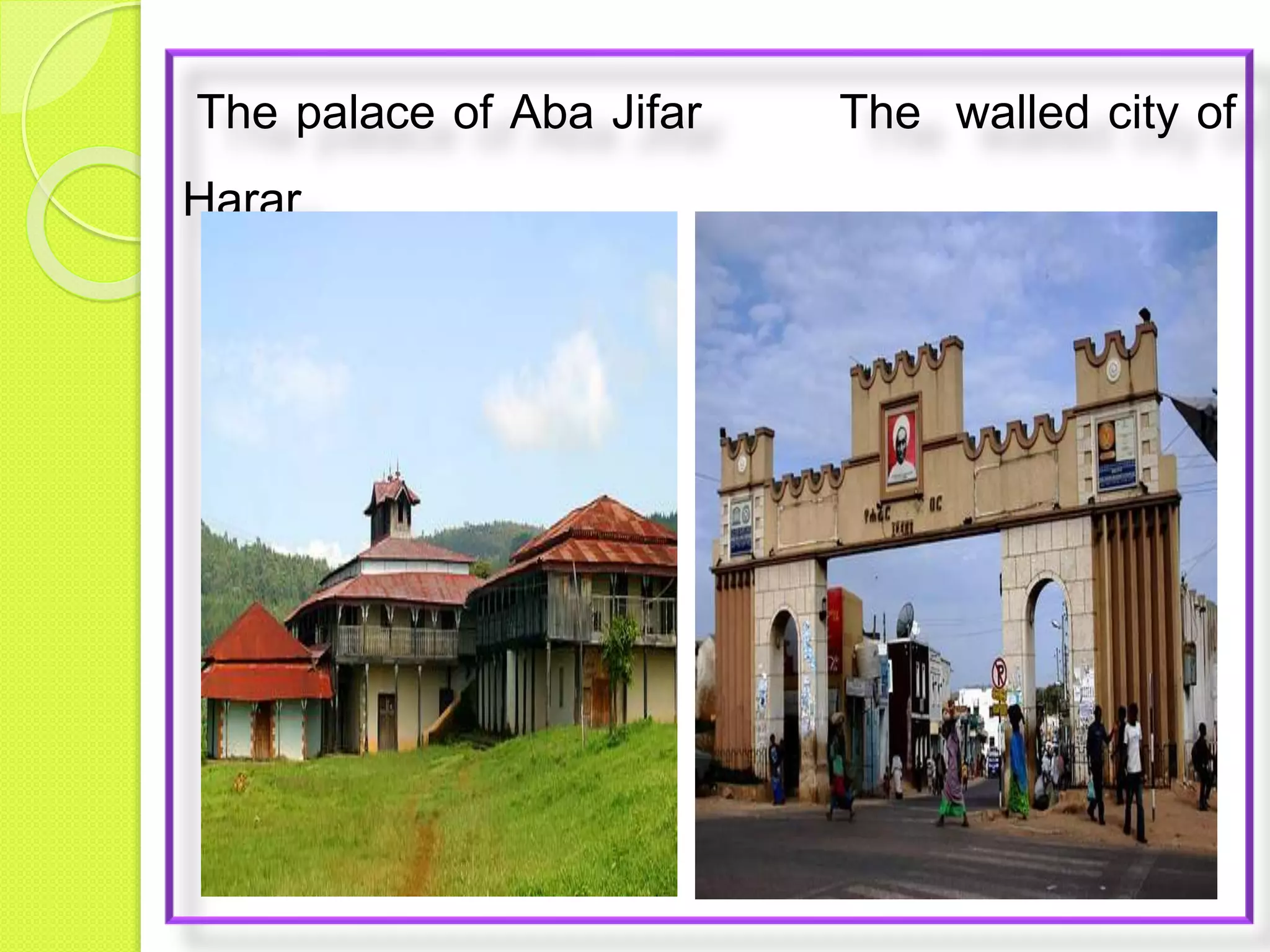 Haregot abreha feacc- us deligation ppt | PPTX