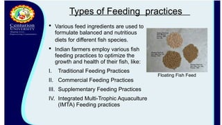 various feeding methods for aquaculture practices by indian farmers | PPT