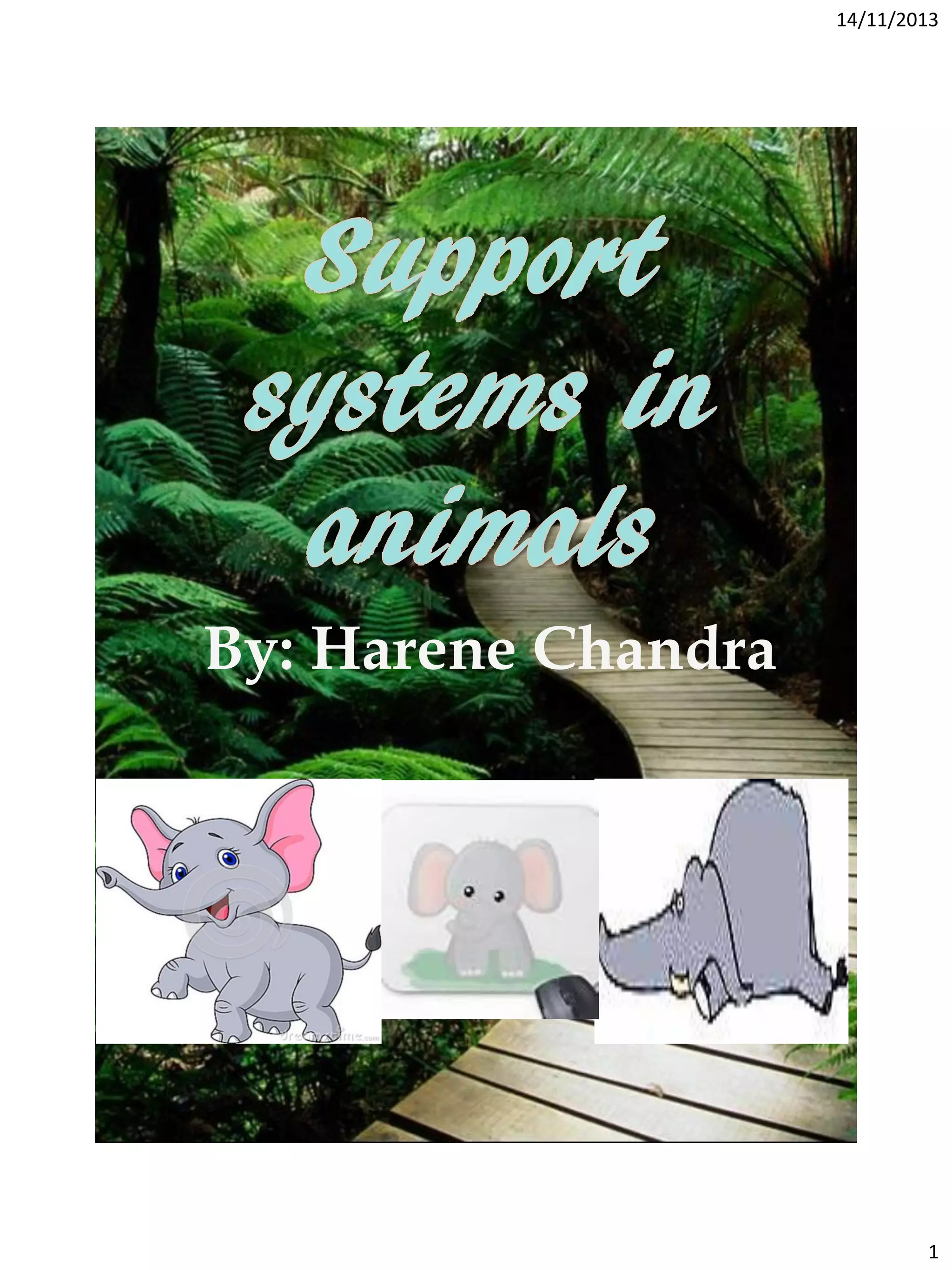 Support systems in animals | PDF