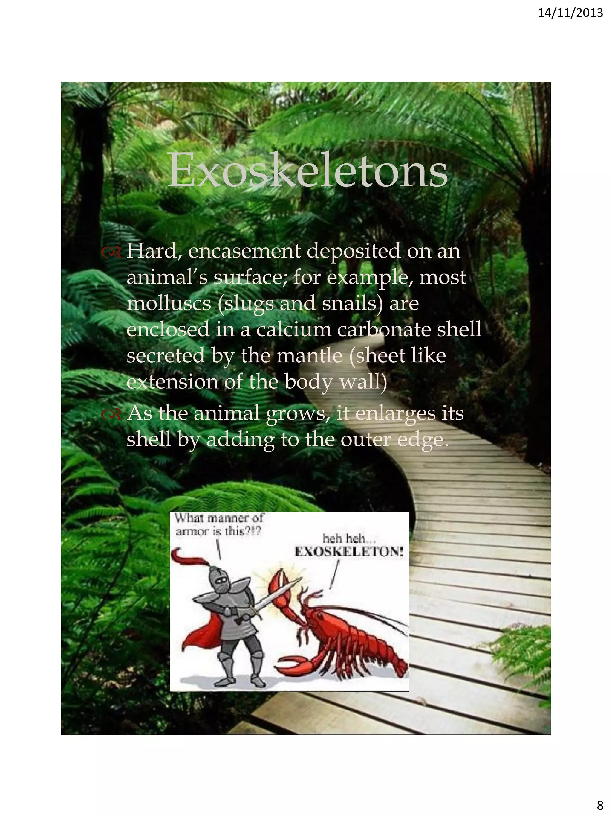 Support systems in animals | PDF