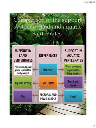 Support systems in animals | PDF
