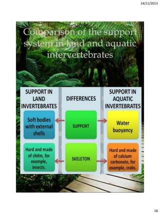 Support systems in animals | PDF