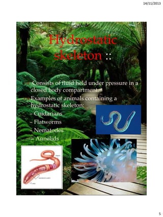 Support systems in animals | PDF