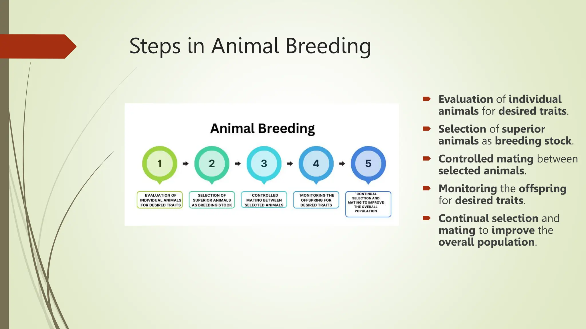 Plants and animal breeding: improvement Management | PPTX