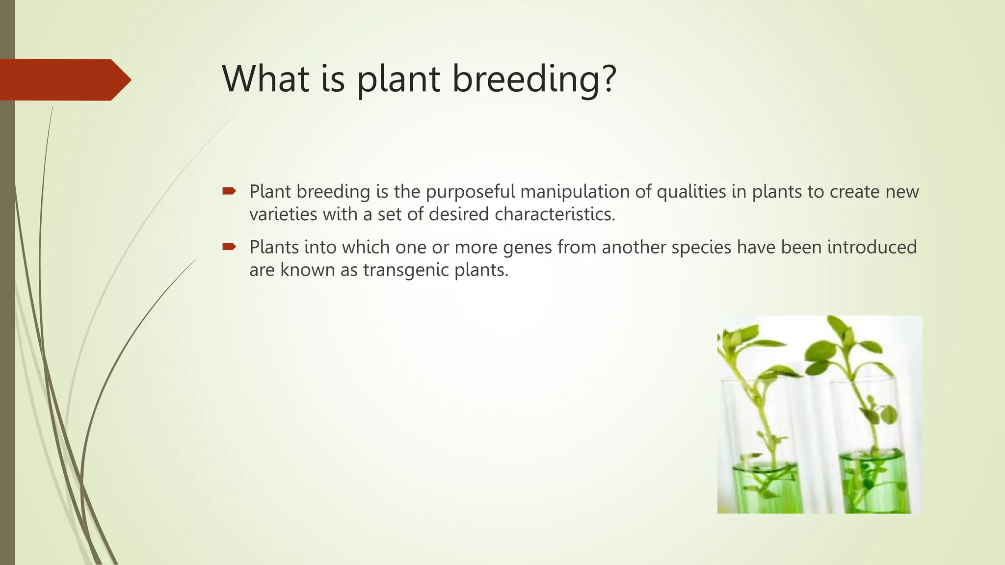 Plants and animal breeding: improvement Management | PPTX
