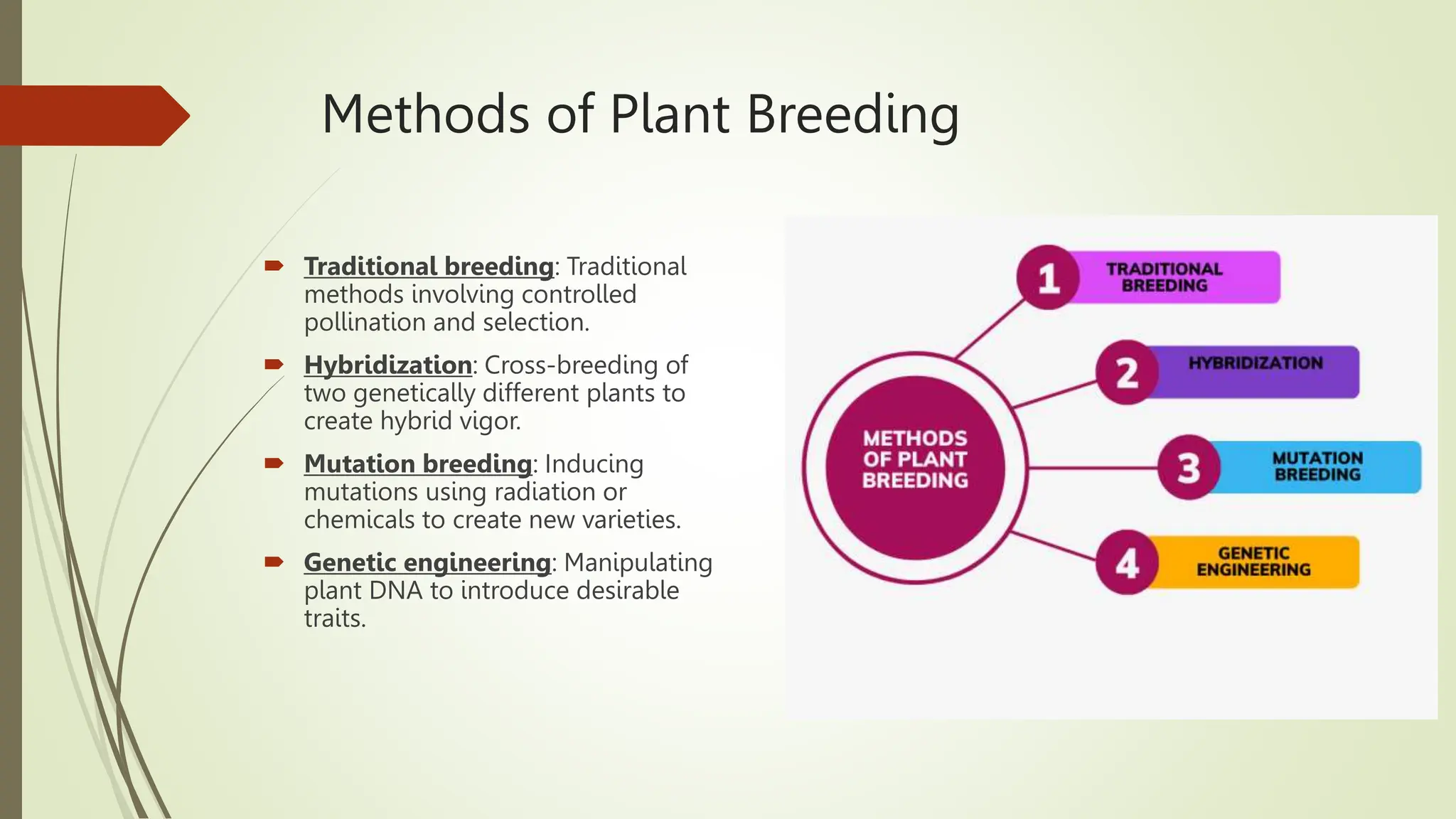 Plants and animal breeding: improvement Management | PPTX