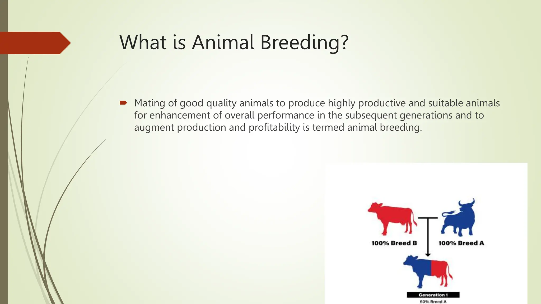 Plants and animal breeding: improvement Management | PPTX
