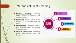 Plants and animal breeding: improvement Management | PPTX
