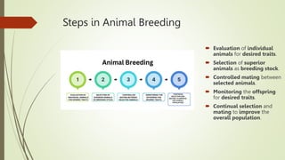 Plants and animal breeding: improvement Management | PPTX