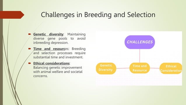 Plants and animal breeding: improvement Management | PPTX | Agriculture ...