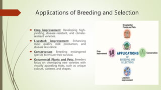 Plants and animal breeding: improvement Management | PPTX