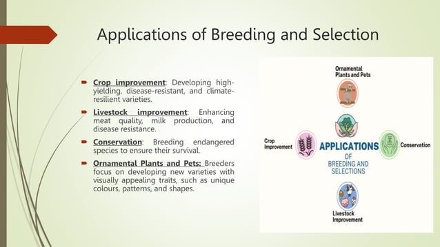 Plants and animal breeding: improvement Management | PPTX | Agriculture ...