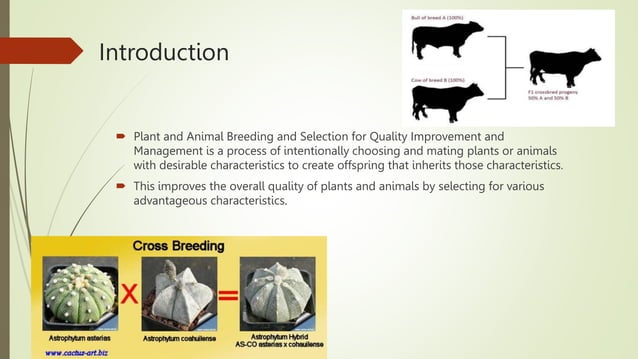 Plants and animal breeding: improvement Management | PPTX | Agriculture ...