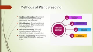 Plants and animal breeding: improvement Management | PPTX