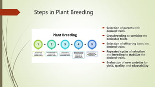 Plants and animal breeding: improvement Management | PPTX