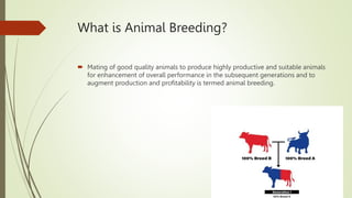 Plants and animal breeding: improvement Management | PPTX