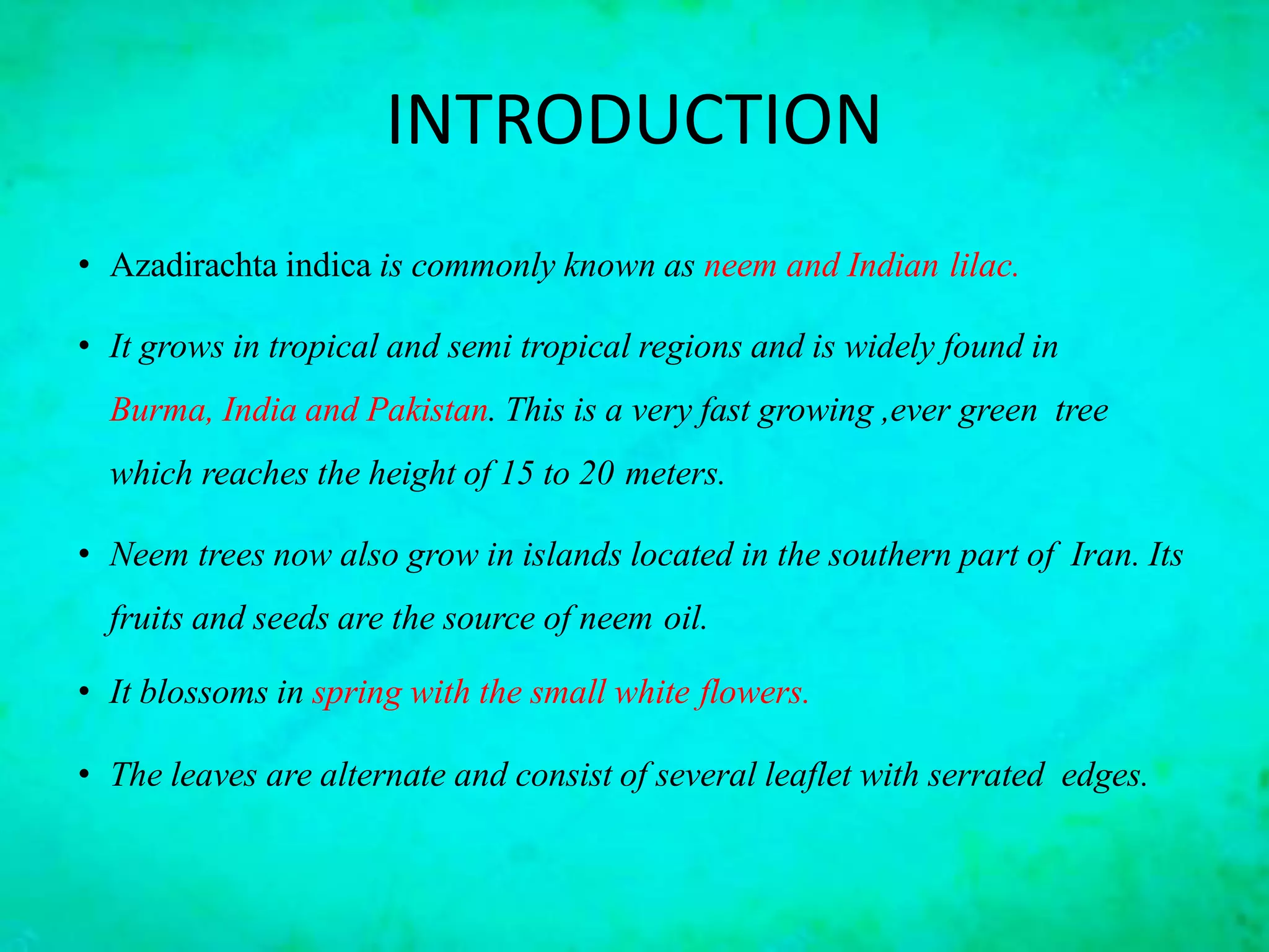 CALLUS CULTURE OF NEEM | PPTX