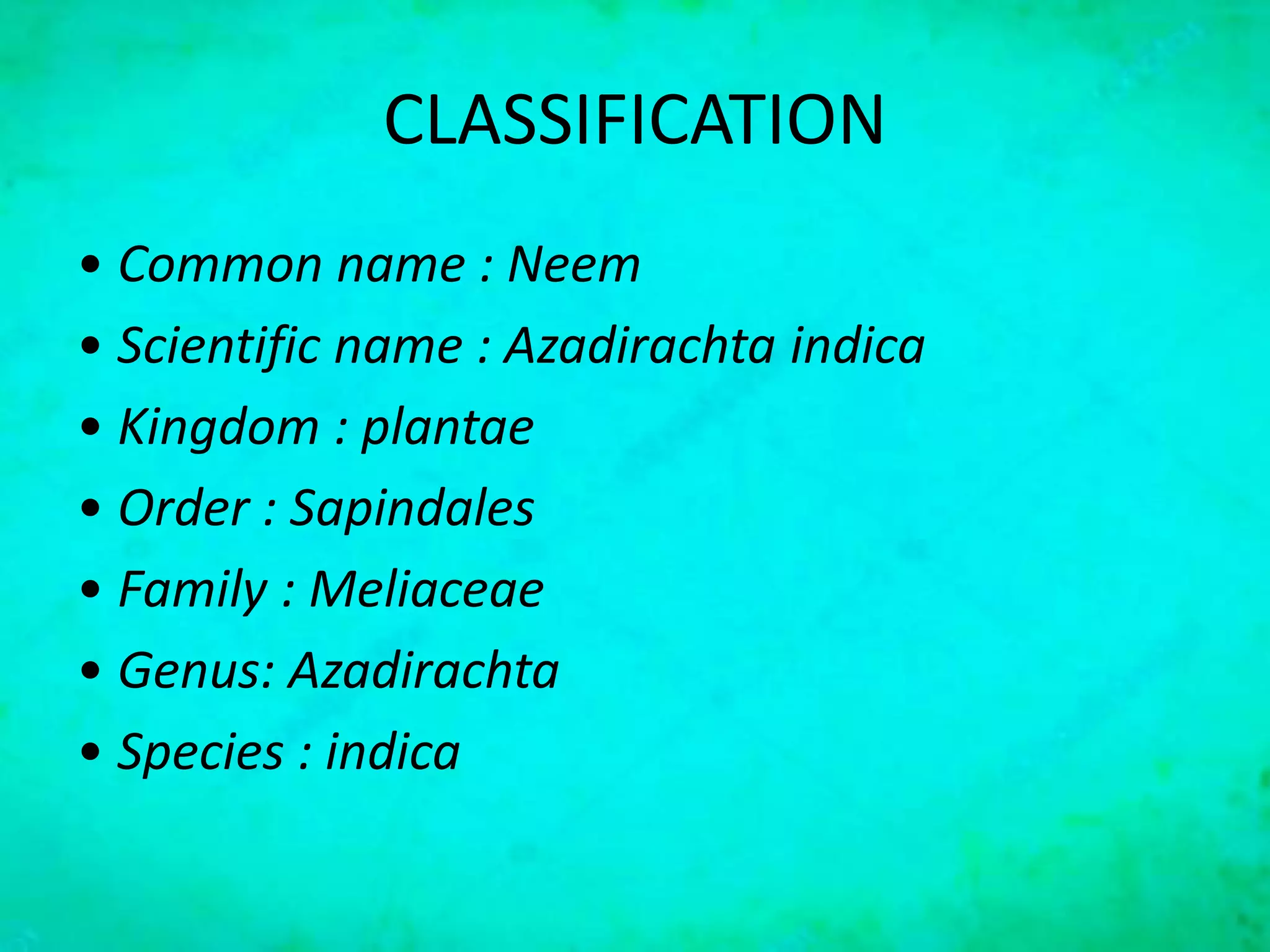 CALLUS CULTURE OF NEEM | PPTX