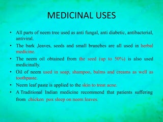 CALLUS CULTURE OF NEEM | PPTX