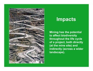 Overview of Impacts of Mining to Biodiversity | PDF