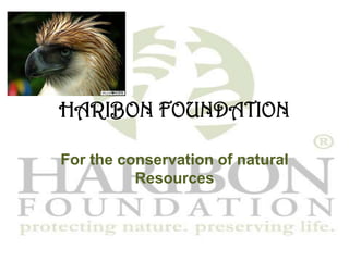 Haribon foundation | PPTX