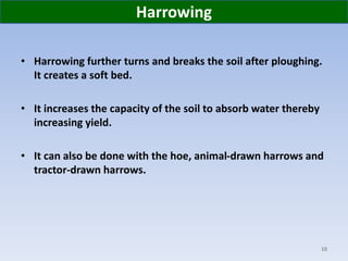 Haricot bean Production technical POP MAY 2014.pptx