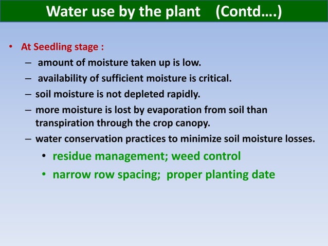 Haricot bean Production technical POP MAY 2014.pptx