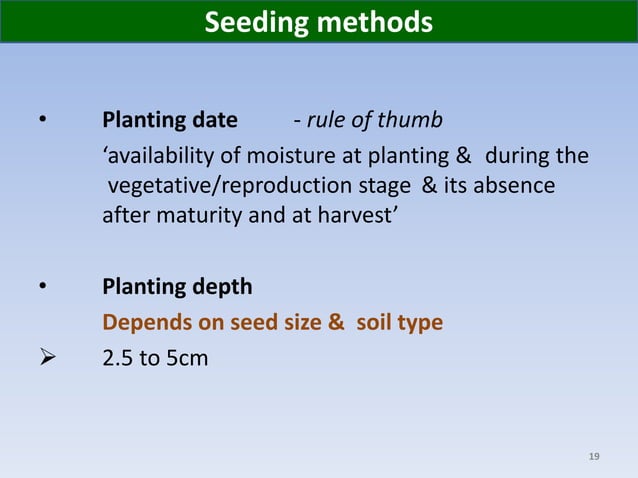Haricot bean Production technical POP MAY 2014.pptx