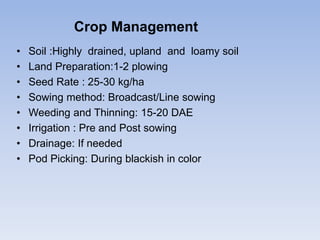 Haricot bean Production technical POP MAY 2014.pptx