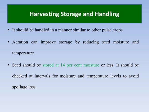 Haricot bean Production technical POP MAY 2014.pptx