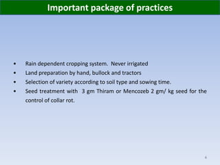 Haricot bean Production technical POP MAY 2014.pptx