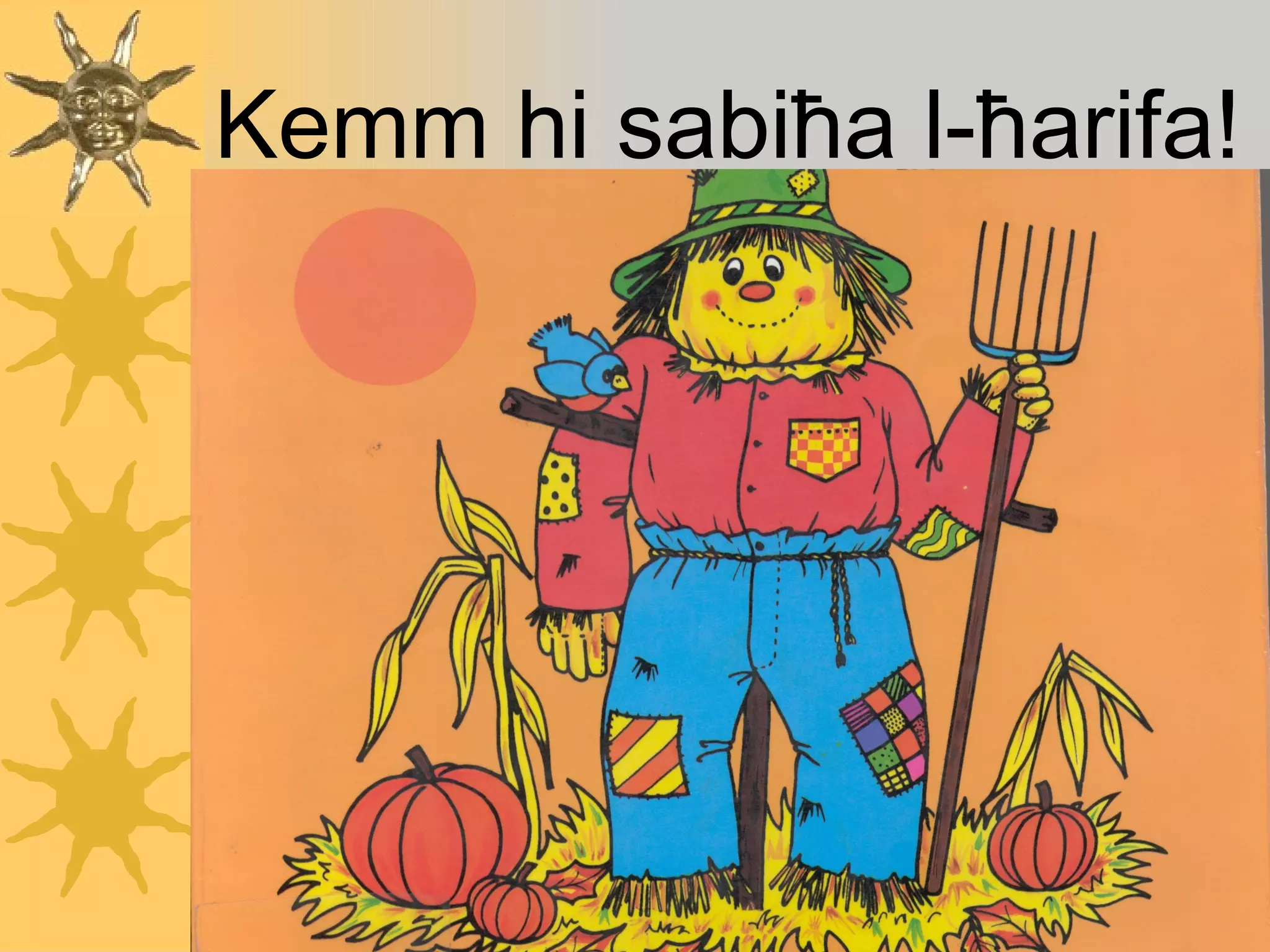 Harifa | PPT