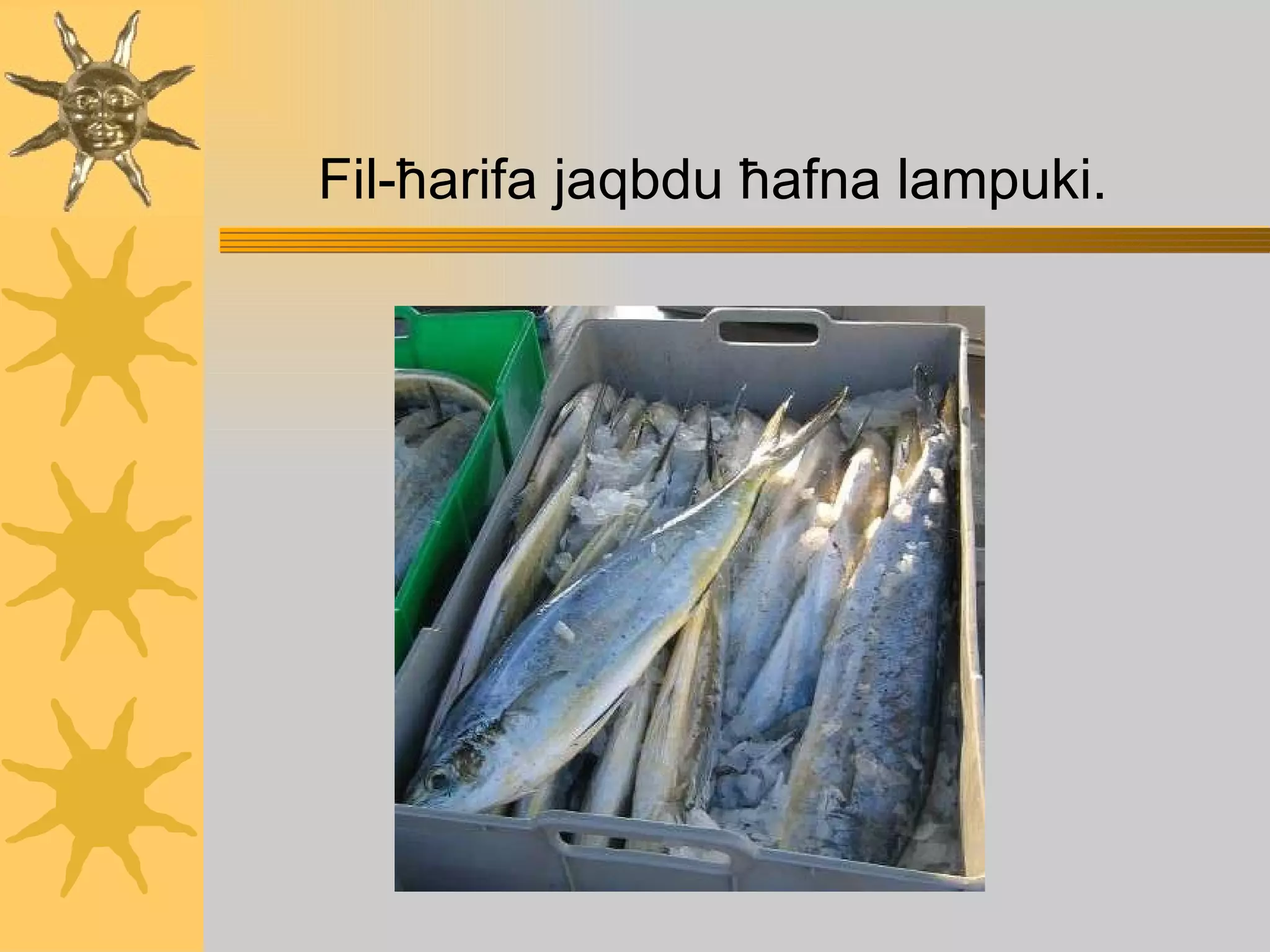 Harifa | PPT