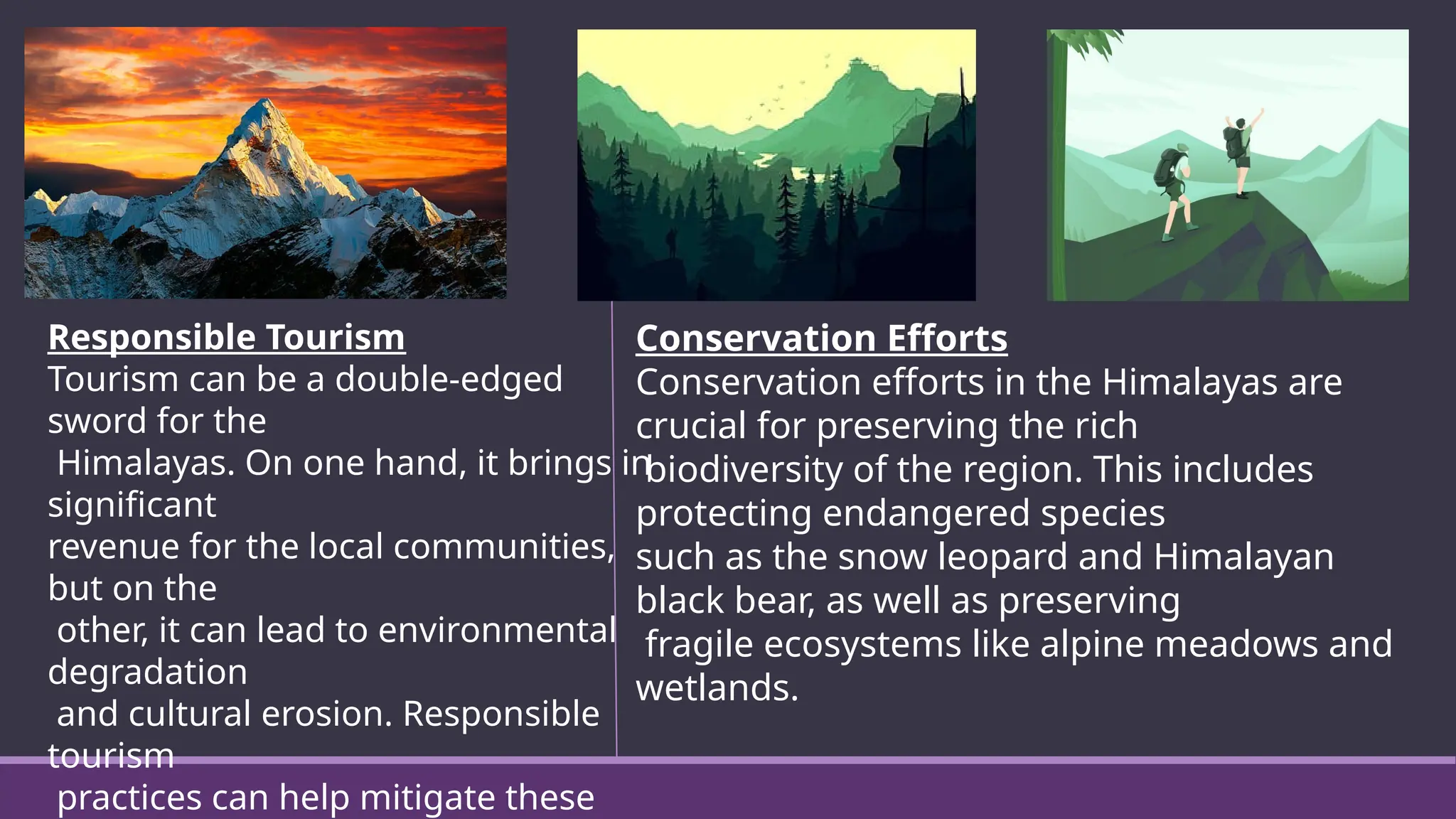 Sustaining himalayas class 9 powerpoint.pptx