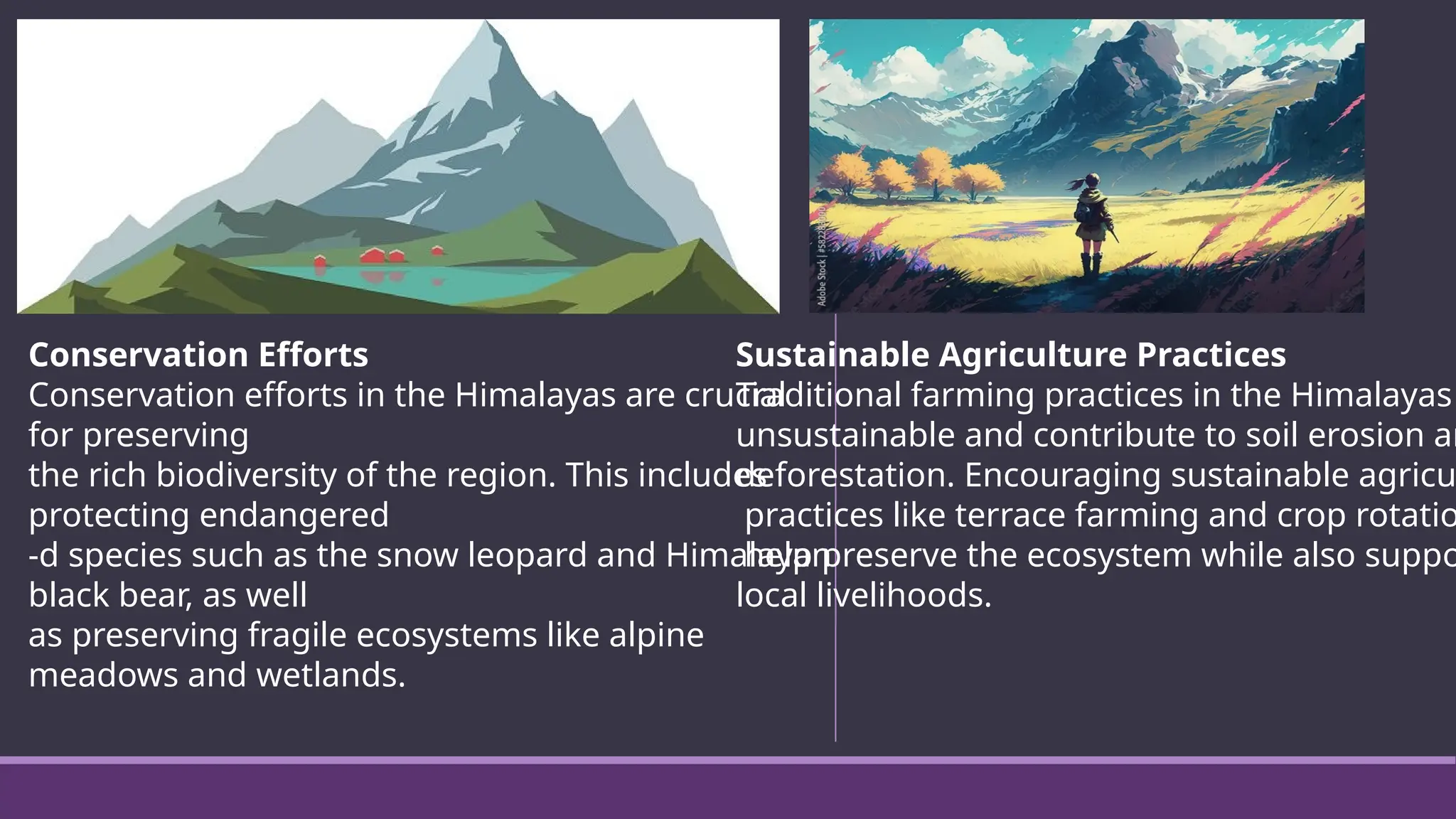 Sustaining himalayas class 9 powerpoint.pptx