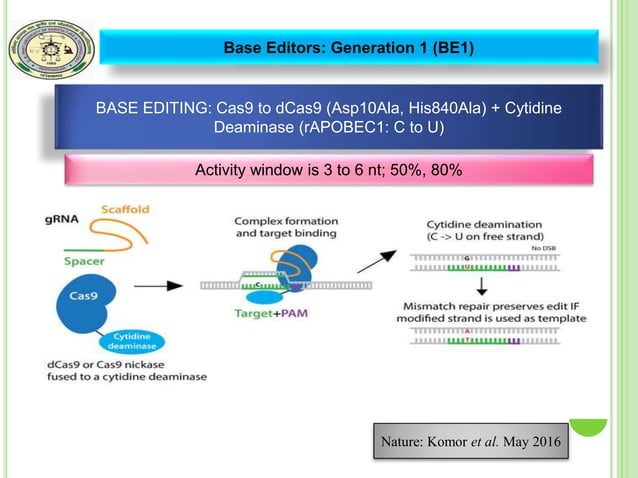 Base Editing in Crops: Current Advances, Limitations and Future ...