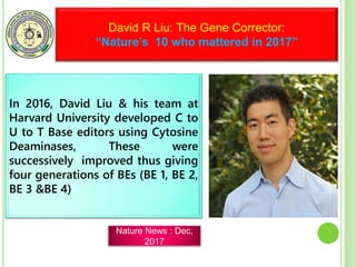 Base Editing in Crops: Current Advances, Limitations and Future ...