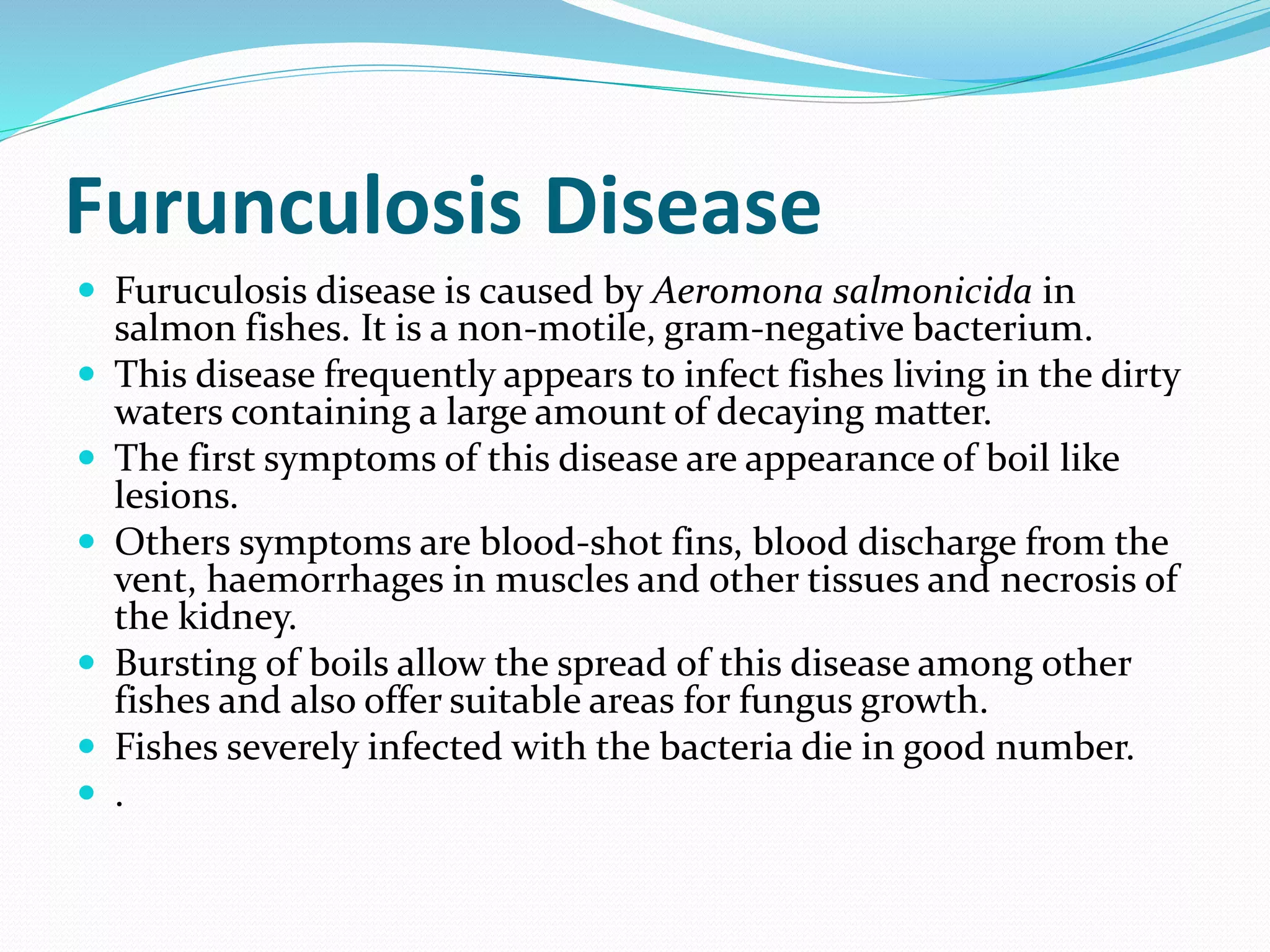 types of bacteria and bacterial disease of fin FISHES | PPTX