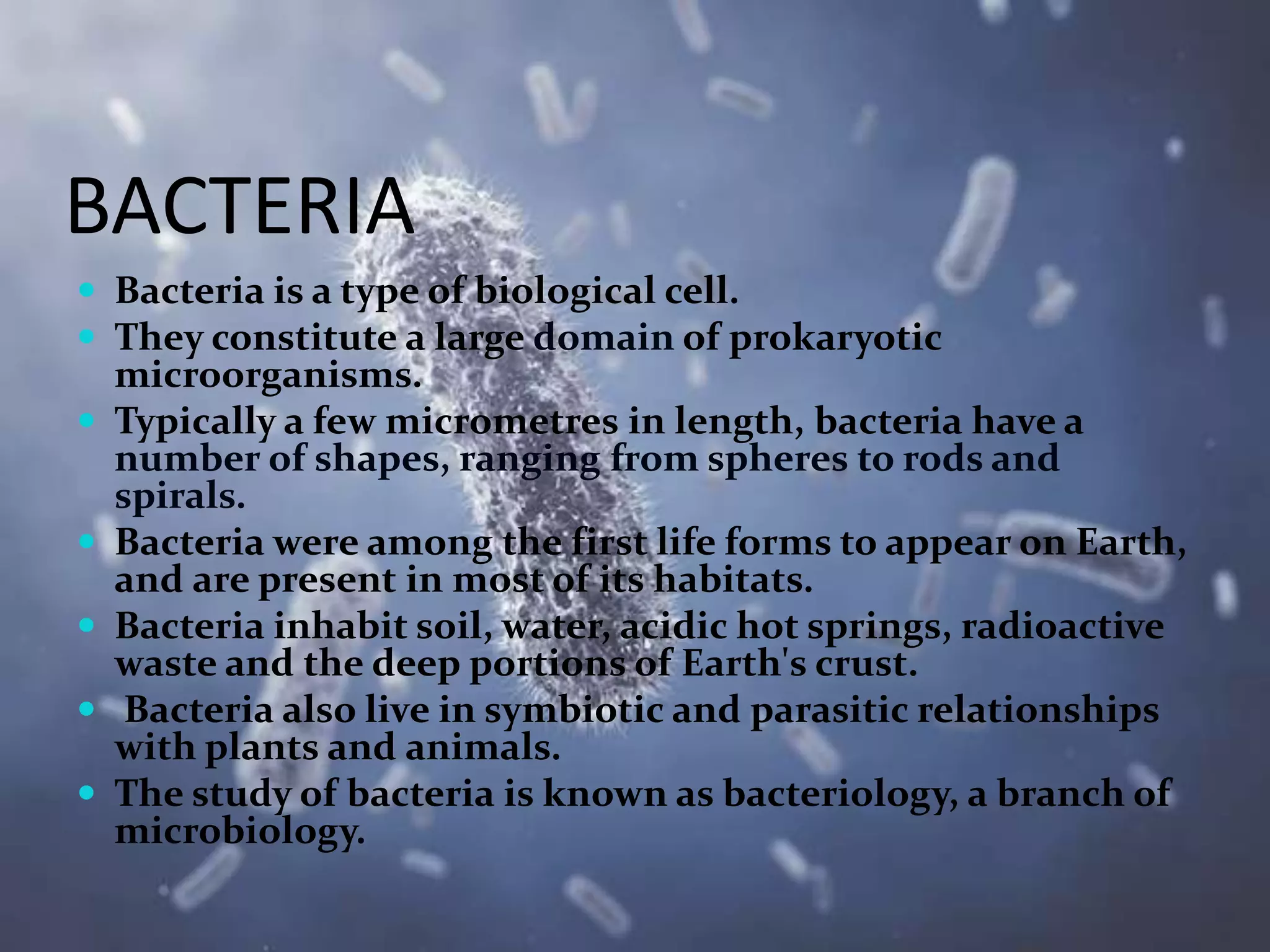 types of bacteria and bacterial disease of fin FISHES | PPTX