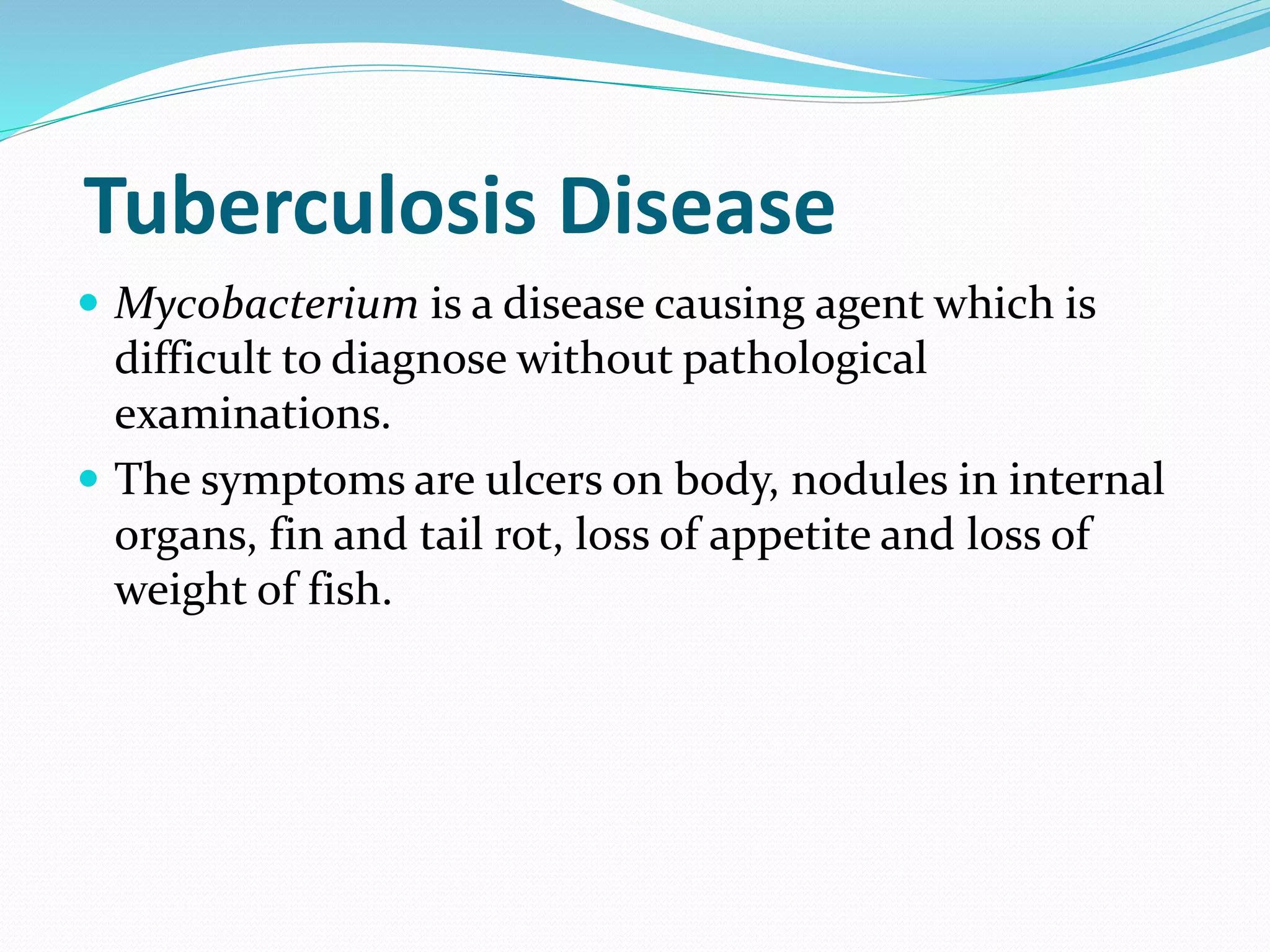 types of bacteria and bacterial disease of fin FISHES | PPTX
