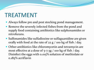 types of bacteria and bacterial disease of fin FISHES | PPTX