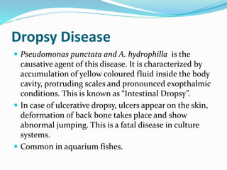 types of bacteria and bacterial disease of fin FISHES | PPTX