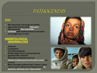 Hari MEDICAL MICROBIOLOGY.pptx