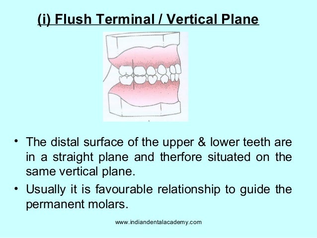development of occlusion