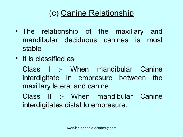 development of occlusion