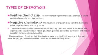 Hariom chemotaxis iiiiiii | PPTX