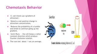Hariom chemotaxis iiiiiii | PPTX