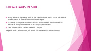 Hariom chemotaxis iiiiiii | PPTX